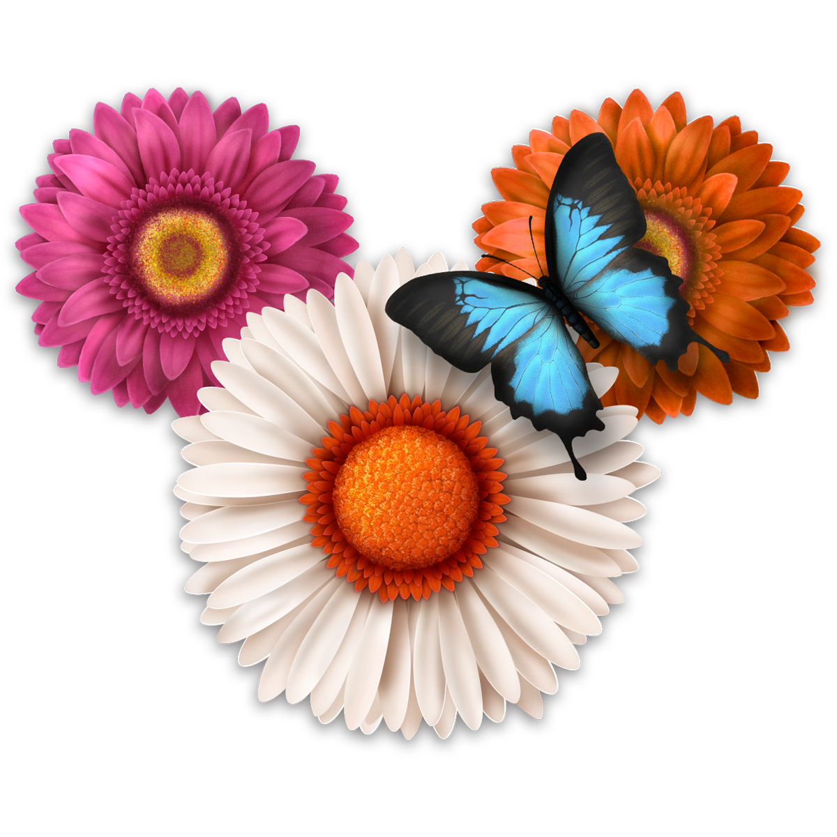 disneylandparis.com Domain Owner Whois and Analysis