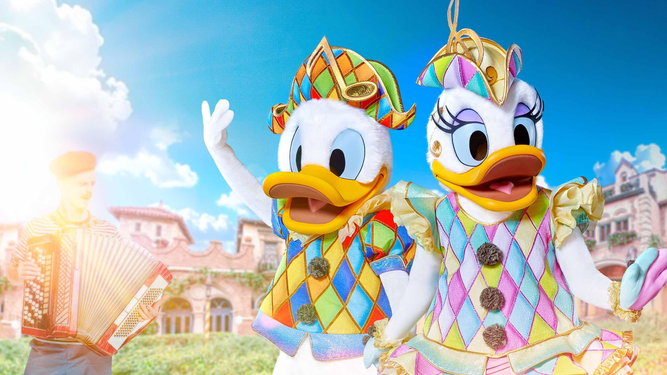 Donald and Daisy's Accordionist | Disneyland Paris