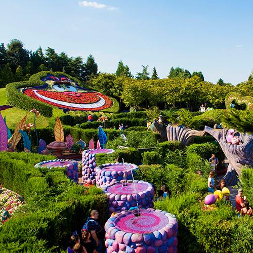 Alices Curious Labyrinth