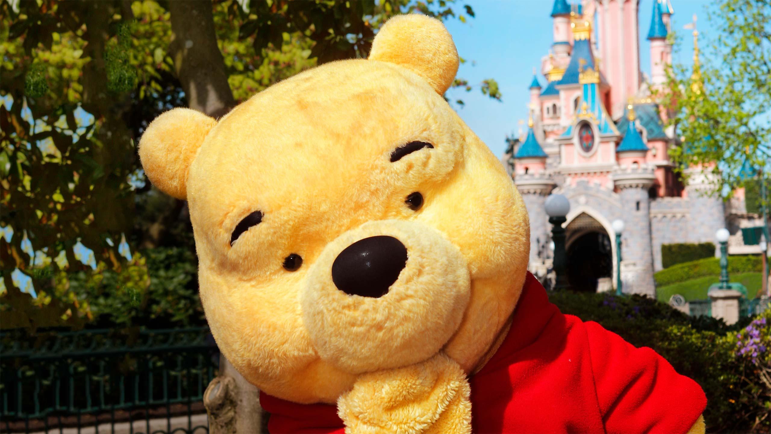 Rencontre avec Winnie L'Ourson ou ses amis | Disneyland Paris