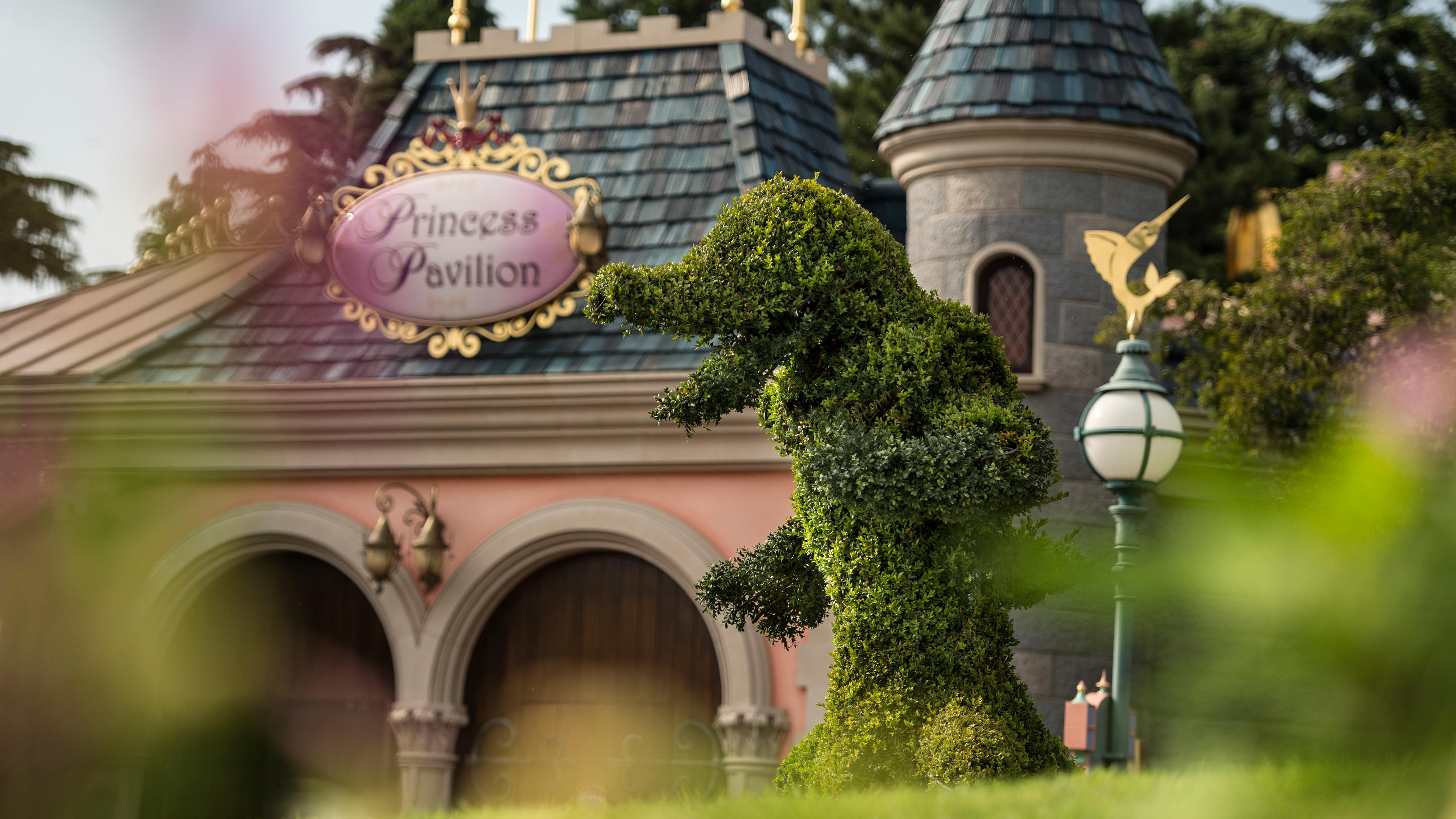 Princess Pavilion Photographs - Vos photos avec une princesse ...